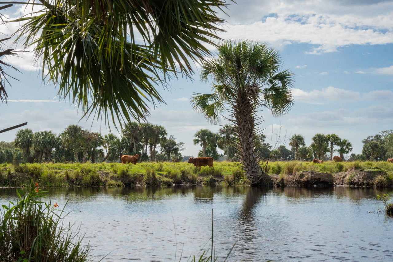 Events – Adams Ranch Natural Beef