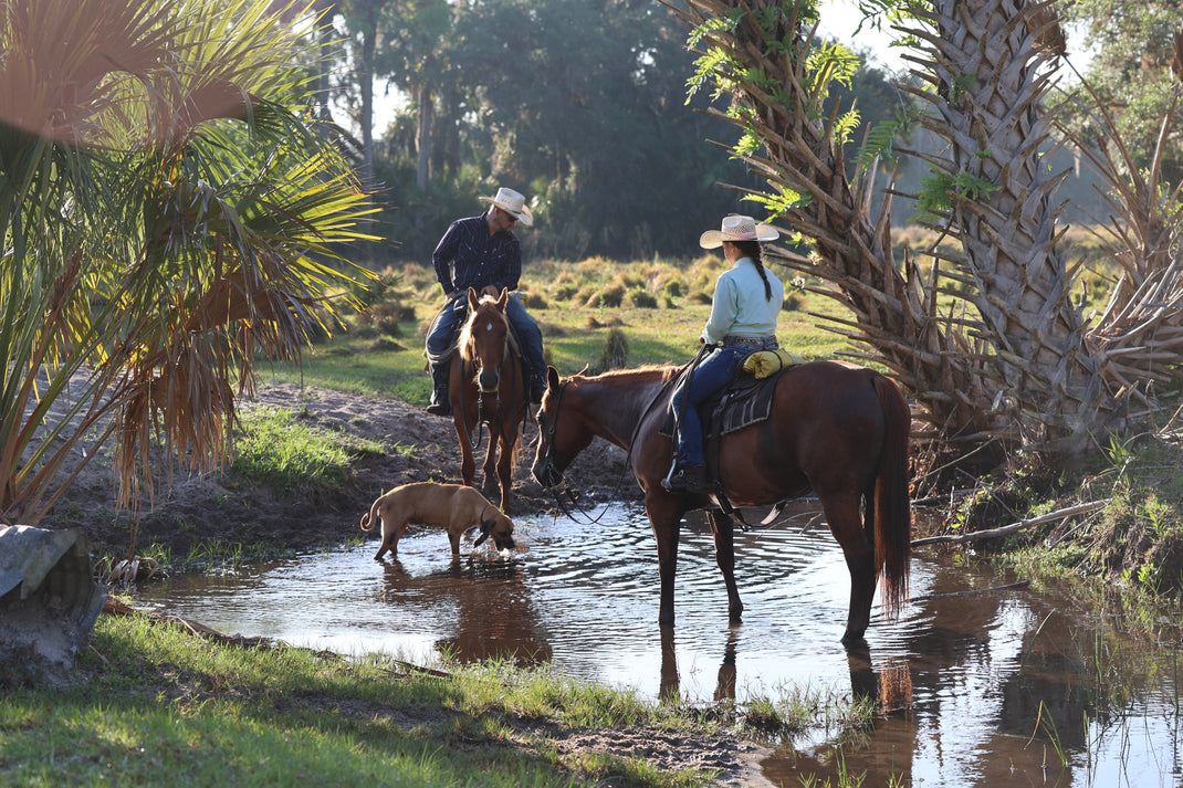About – Adams Ranch Natural Beef